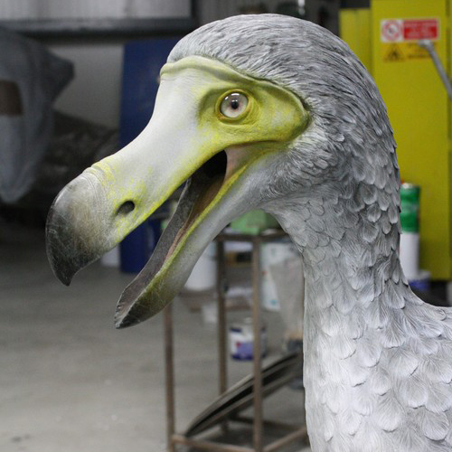 Raphus cucullatus - GEOMODEL