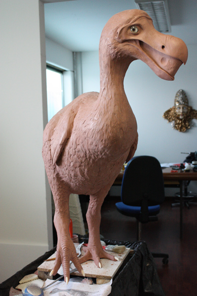 Raphus cucullatus - GEOMODEL